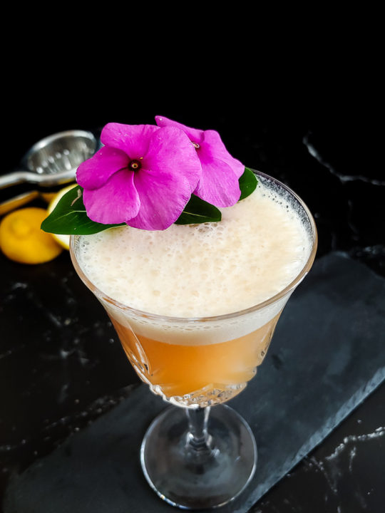 How to Make a Boston Whiskey Sour (and a Vegan one) - Cocktail Contessa